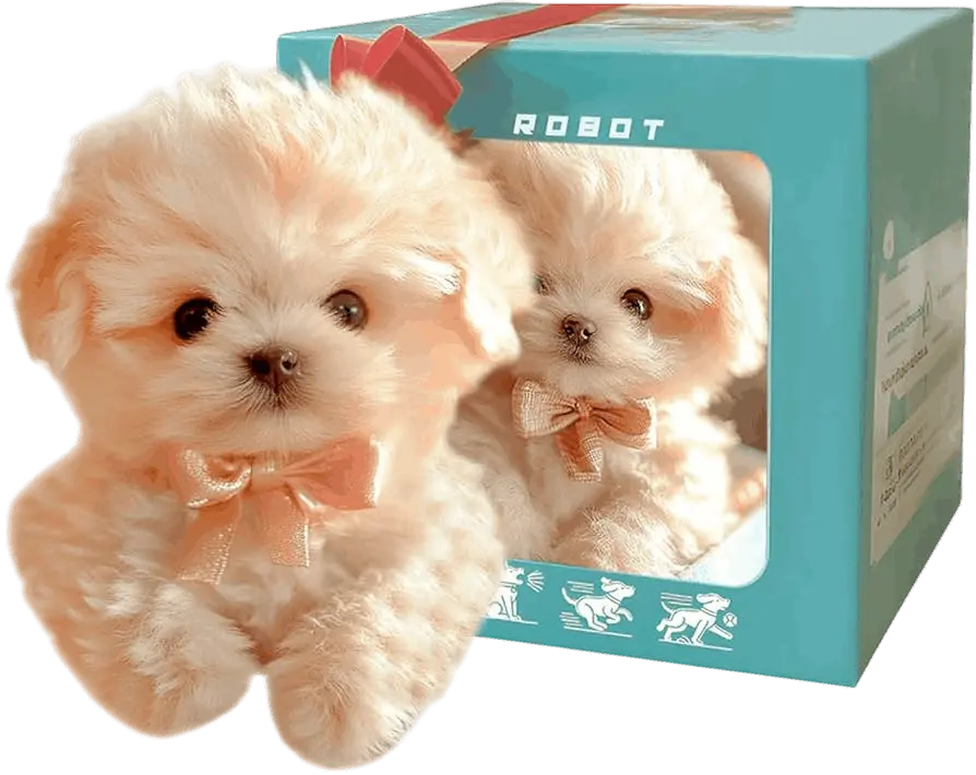 Nicco Official Site | #1 Realistic Robot Puppy